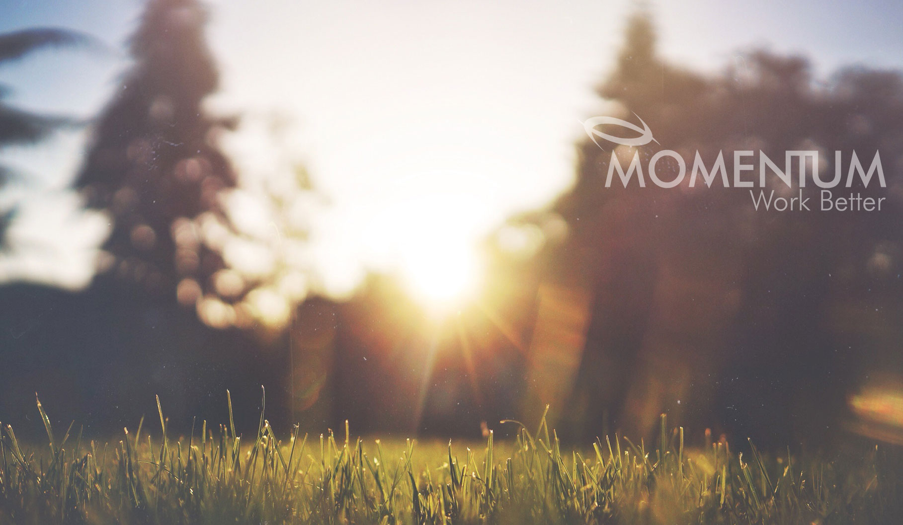 The New Mba Produce Momentum
